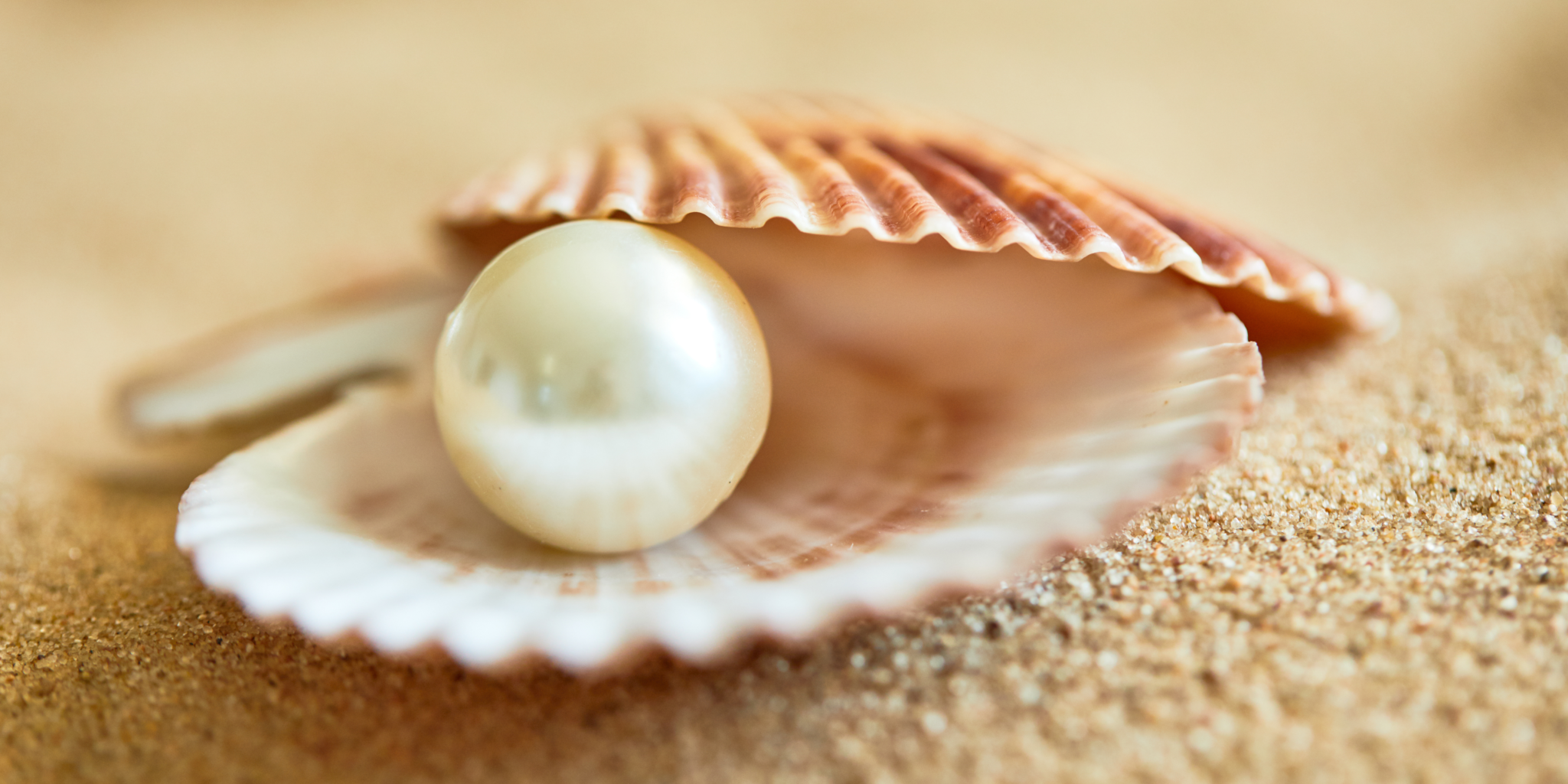 The Blue Capsule - Show Your Shells